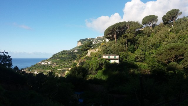 Positano Amalfi Coast Cookbook Travel Guide is Here – POSITANO