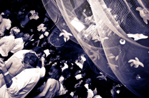 Music on The Rocks DENZEL WASHINGTON in POSITANO – POSITANO